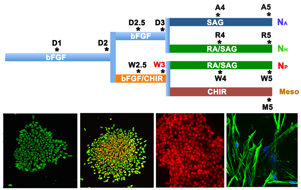 Computational approaches – Briscoe Lab
