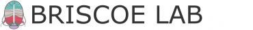 Publications – Briscoe Lab