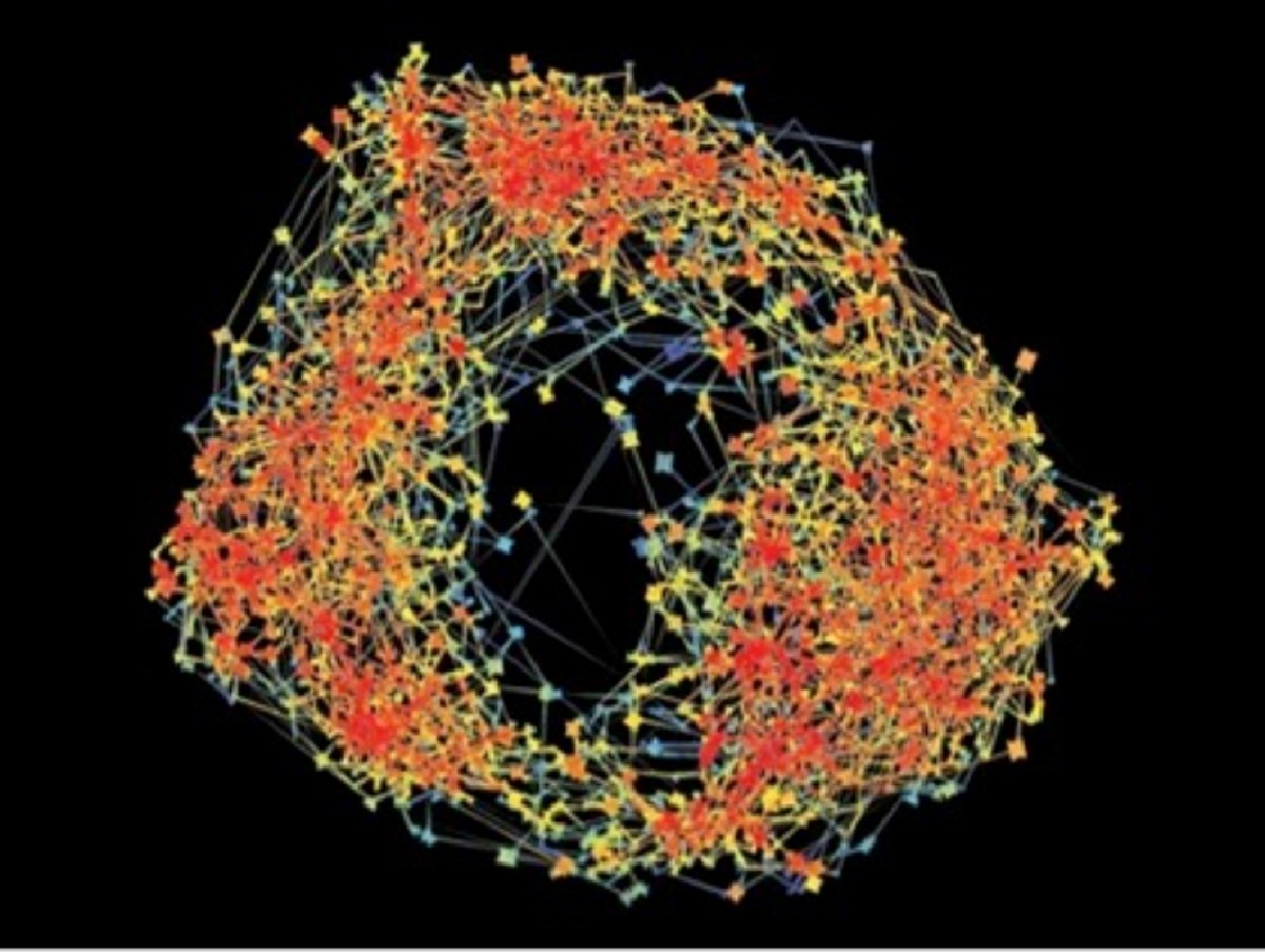 Tempo, growth and patterning – Briscoe Lab
