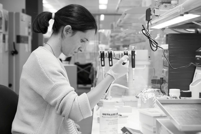 Clab – Briscoe Lab